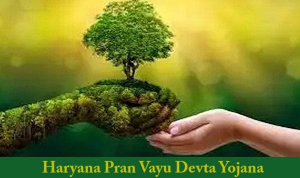 Haryana Pran Vayu Devta Yojana 2024 पेड़ों की देखभाल करने पर ₹2500